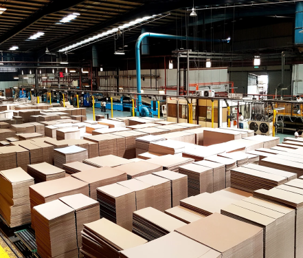 Trends in the Paper Packaging Industry: What to Expect in the Future